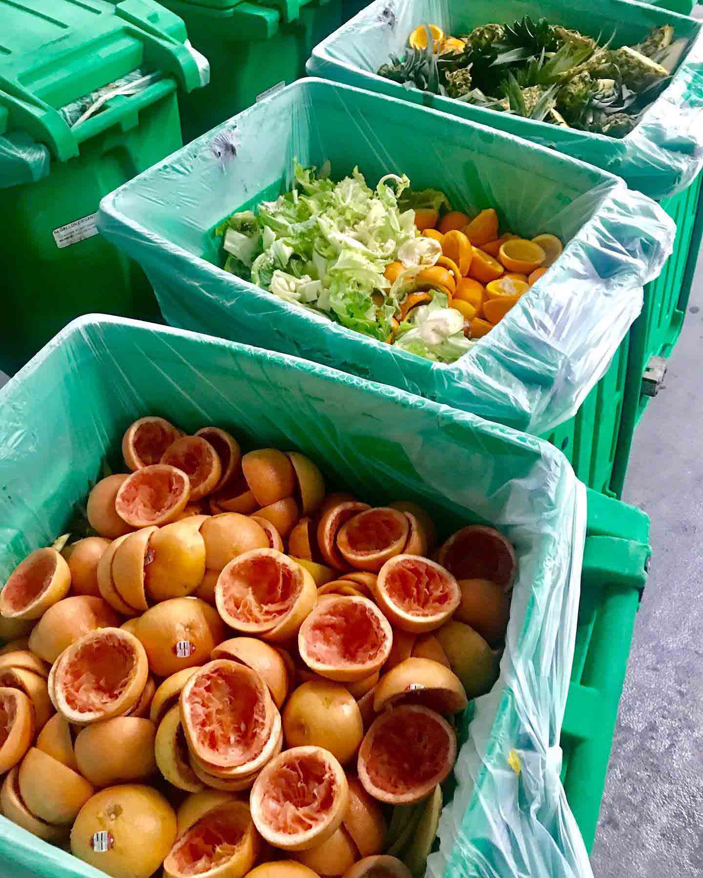 Composting food waste - what you need to know - Recycle Track Systems