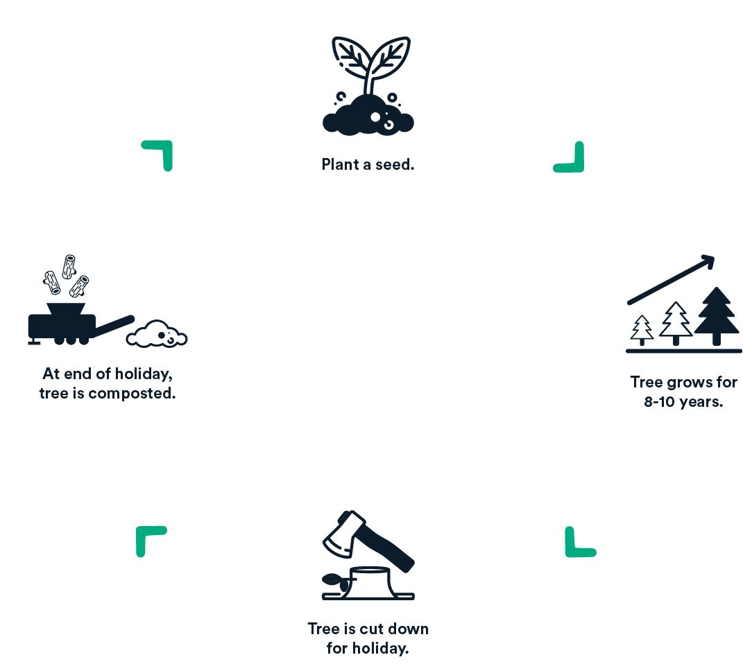 Circular Economy of A Christmas Tree - Recycle Track Systems