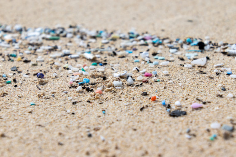 Microplastics A Macro Level Problem Rts