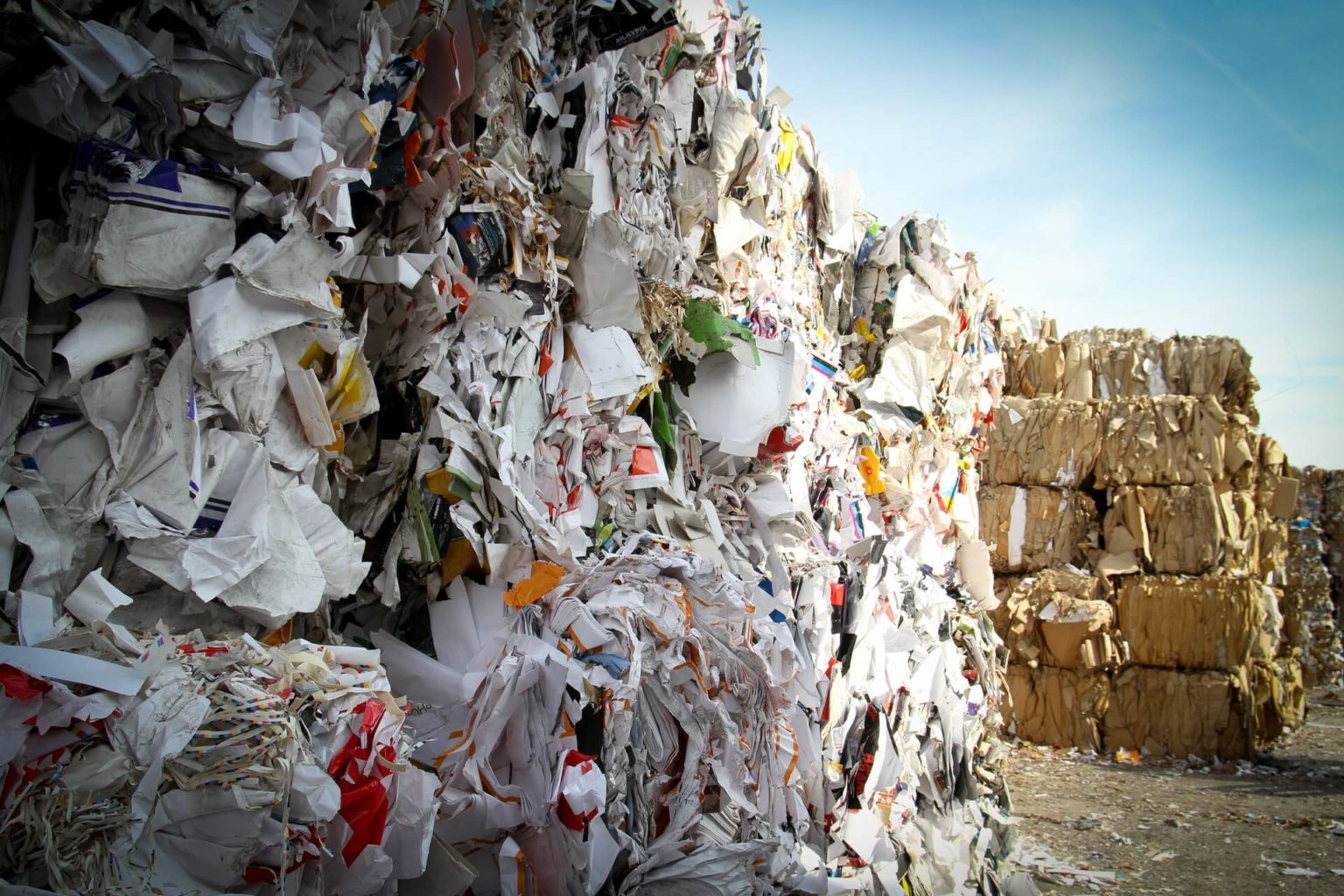 The Pros and Cons of Single Stream Recycling | RTS - Recycle Track Systems