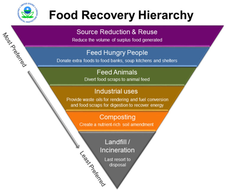 How to Recycle Food Waste in Boston – A Guide | RTS - Recycle Track Systems