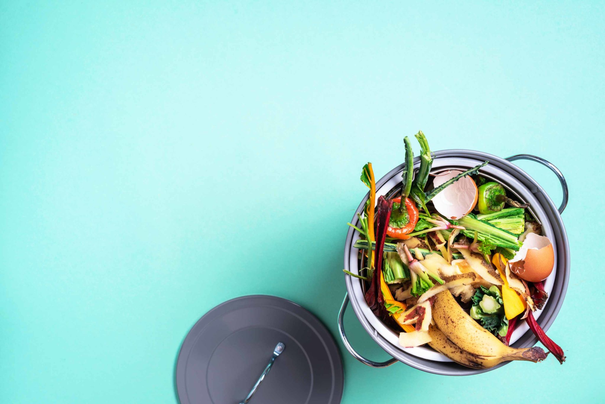 How to Recycle Food Waste NYC – A Guide | RTS - Recycle Track Systems