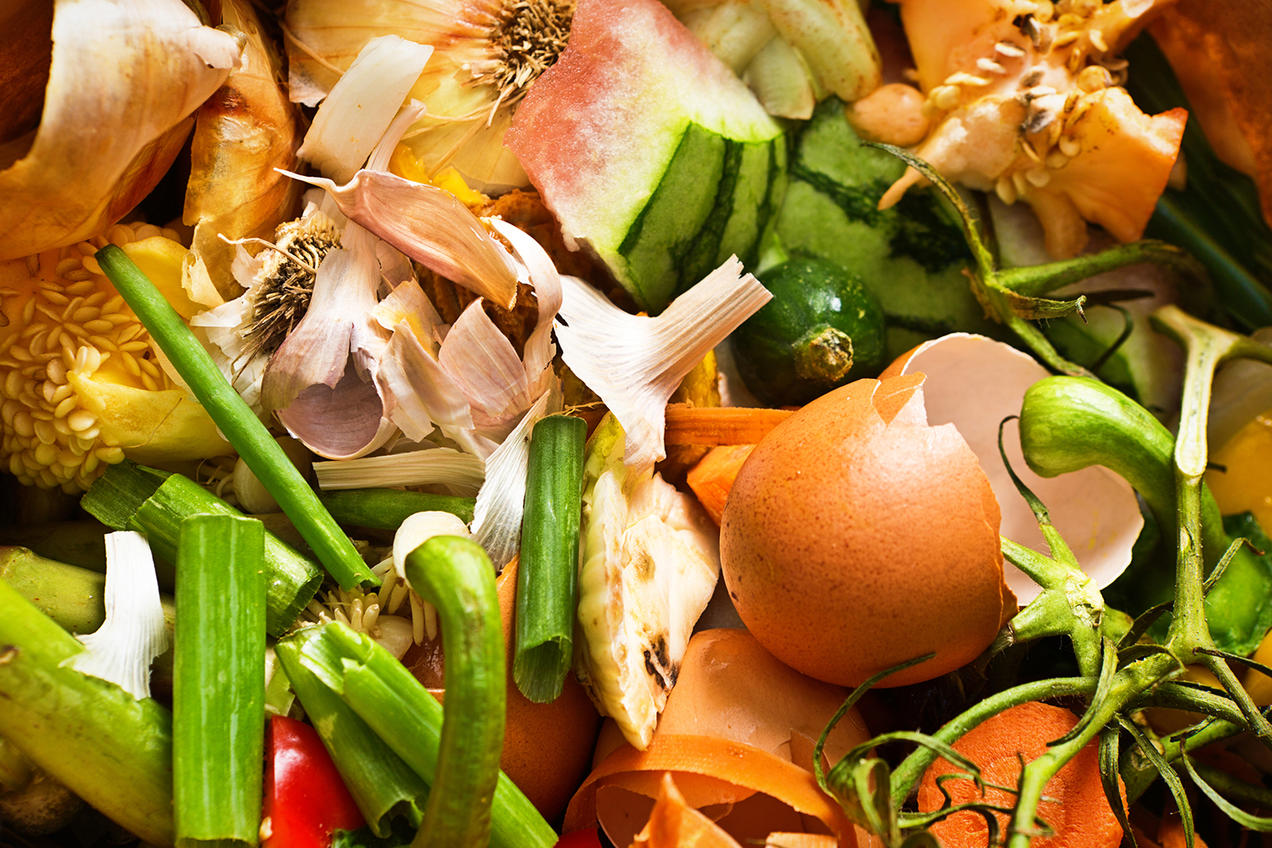 How to Recycle Food Waste in Philadelphia – A Guide | RTS - Recycle ...