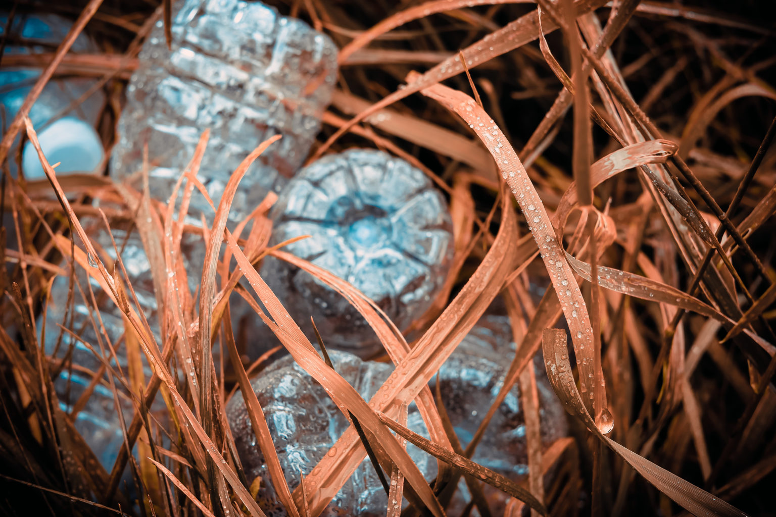 How Long Does It Take for Common Materials to Decompose? - Recycle ...