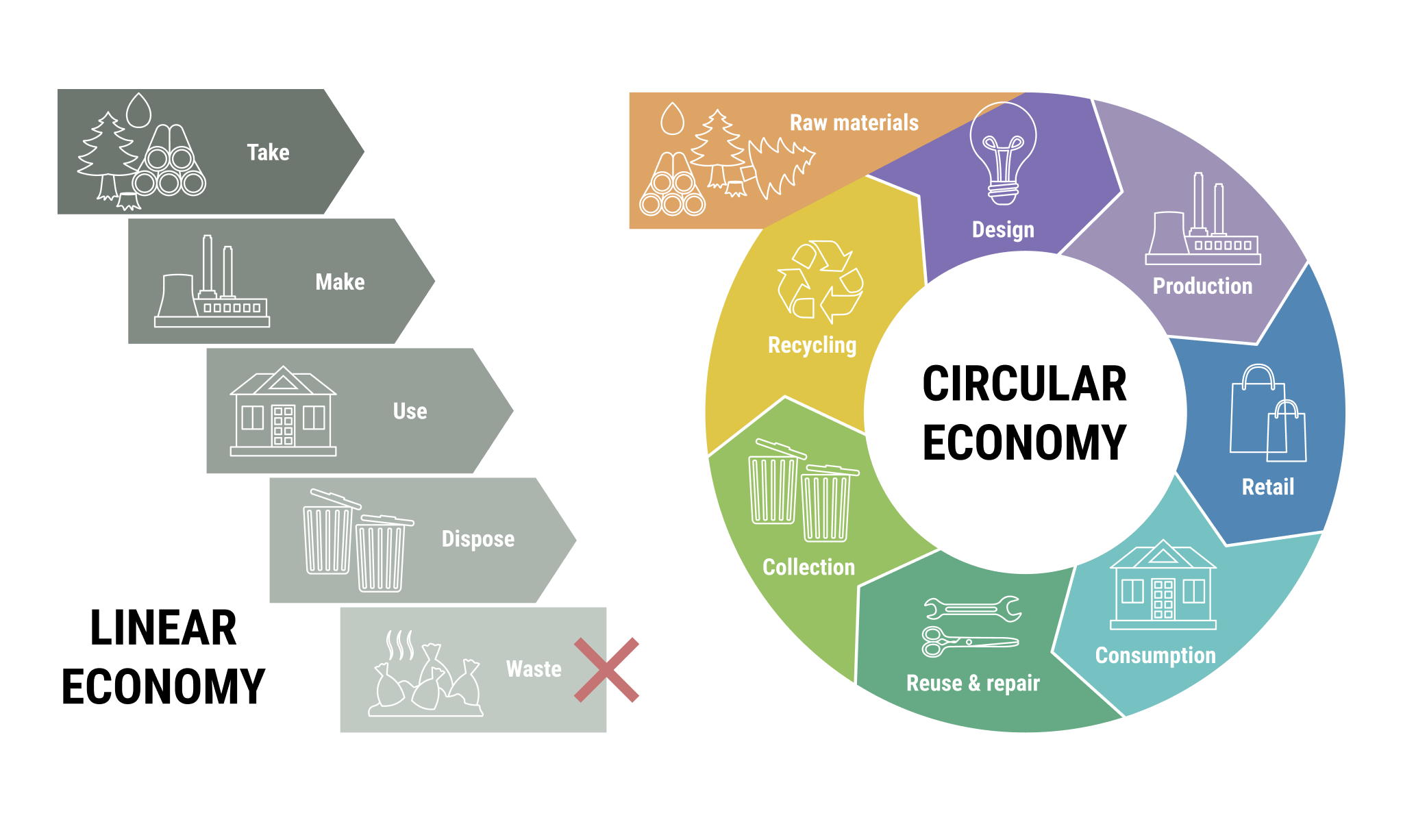 Modelos de negocio circulares: Sostenibilidad y beneficios | RTS